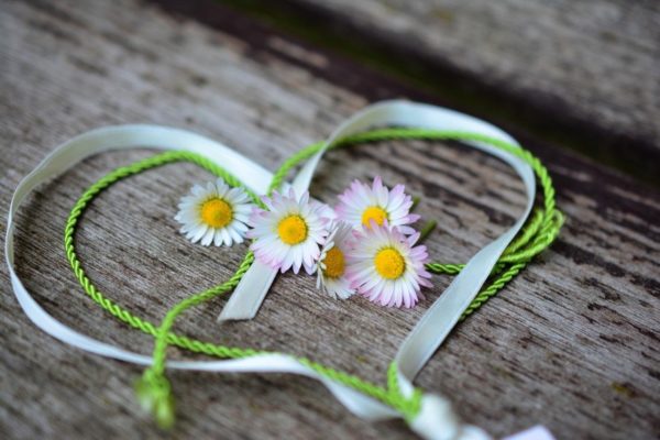 10 Best Friendship Flowers for When You Just Feel Like a Bouquet - The ...