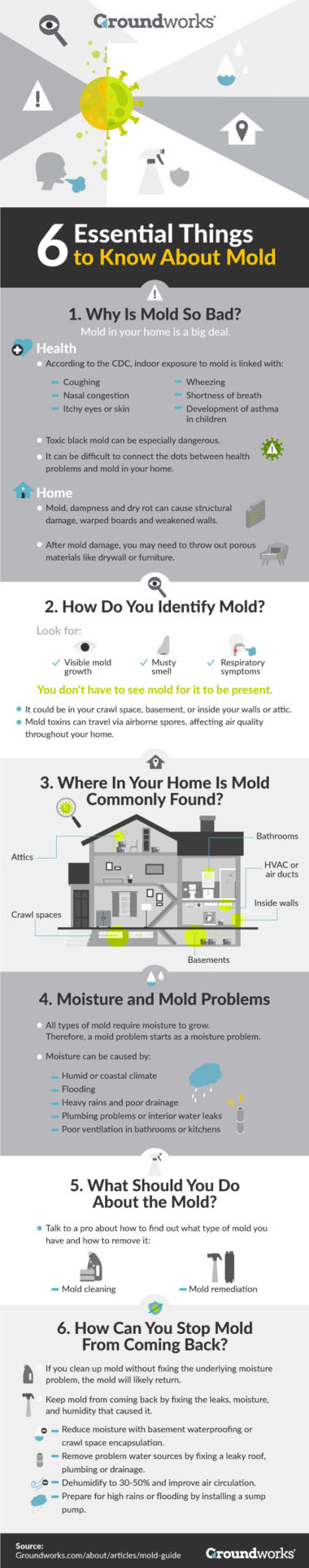 How Mold Can Affect Your Health - The Urban Twist