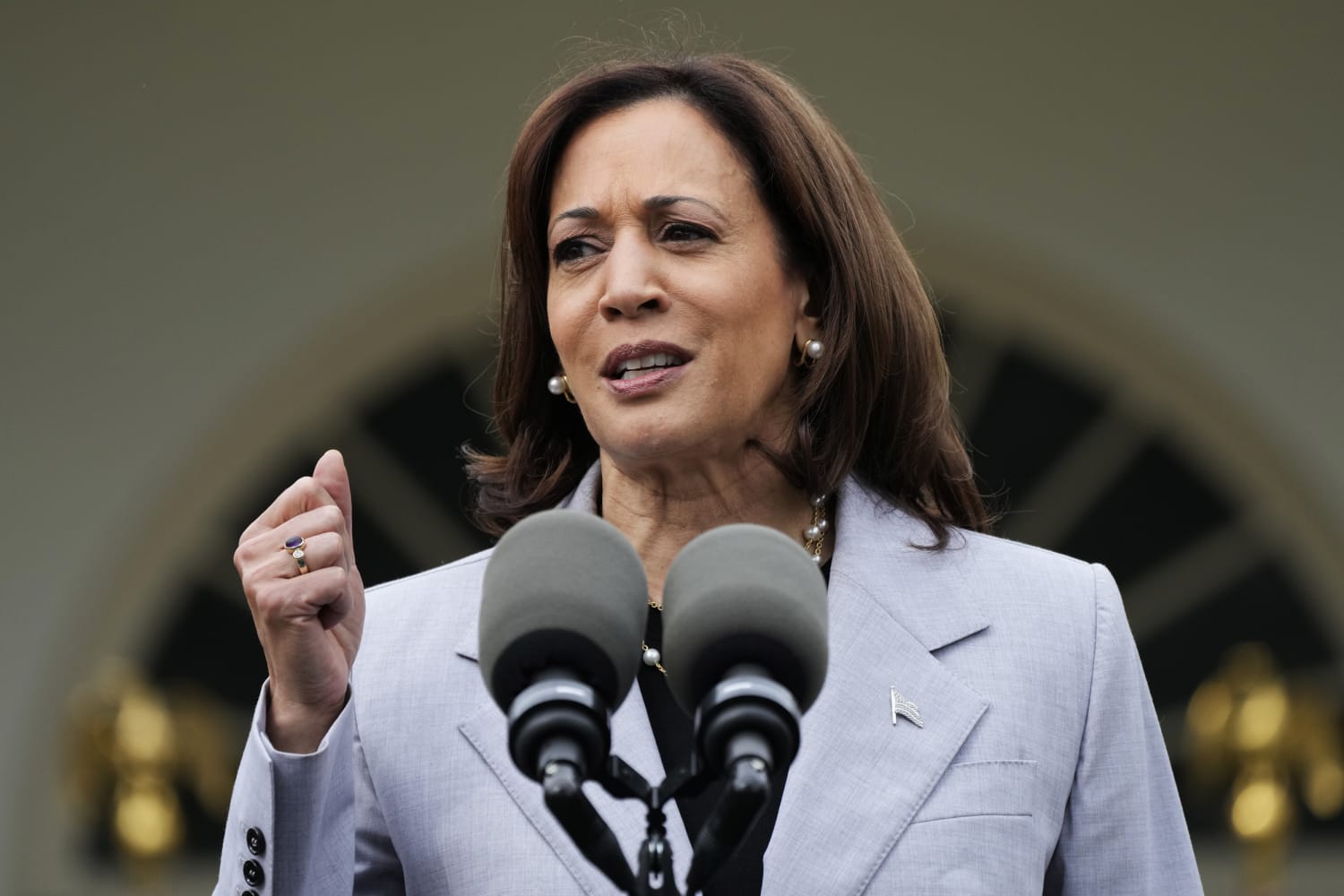 Poll Shows Kamala Harris as Frontrunner for 2028 Democratic ...